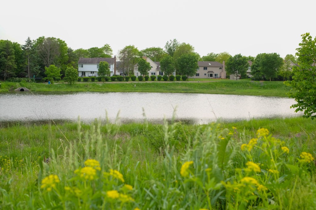 5 Ways Homeowners Impact Detention Basins - LDP Watersheds